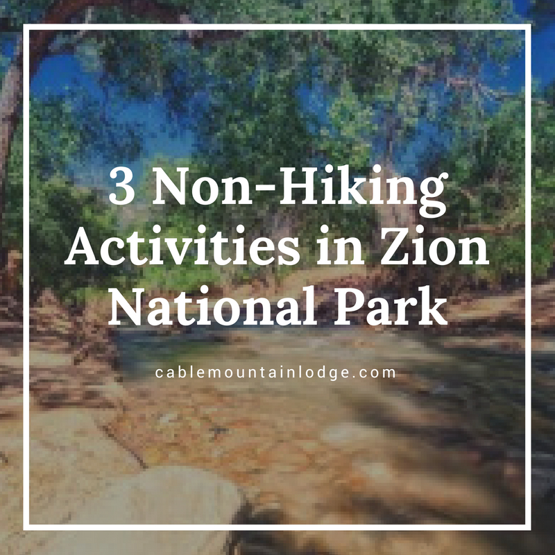 Zion Activities: 3 Non-Hiking Activities in Zion National Park